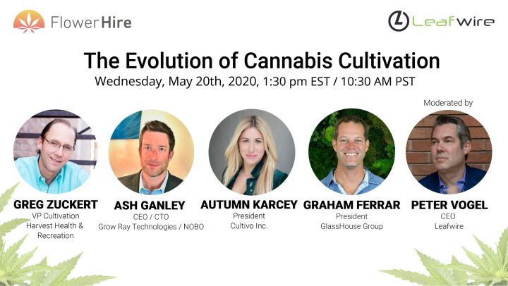 The Evolution of Cannabis Cultivation - FlowerHire