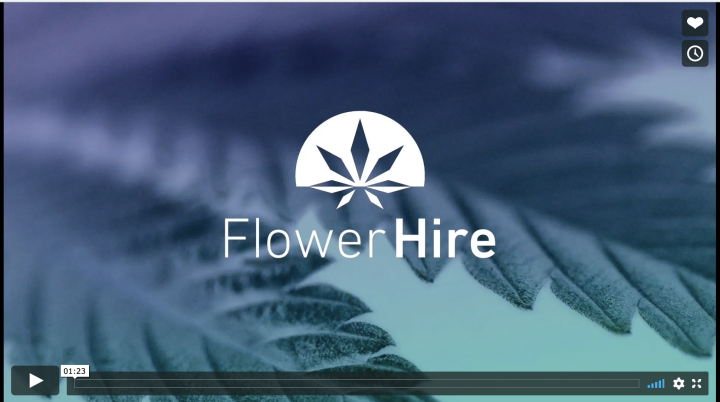 FlowerHire Sizzle Reels | Leading Cannabis Recruiters